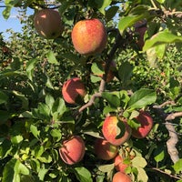 Milk Pail Farms - Watermill, NY