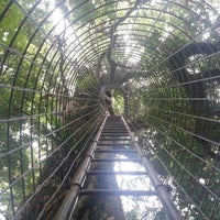 O'Reilly's Tree Top Walk - Trail