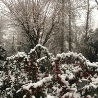 Daneshjou Park | پارک دانشجو - Park in Tehran