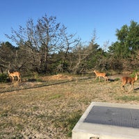 East islip Marina - East Islip, NY