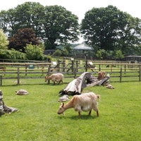 Small Breeds Farm Park and Owl Centre - 2 tips from 65 visitors