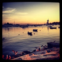 Tuzla Sahili - Postane - 723 tips