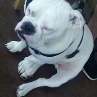 Anthony's Fish Grotto - Seafood Restaurant