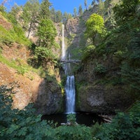 Multnomah Falls - 184 tips from 21694 visitors