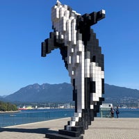 Digital Orca - Coal Harbour - 8 tips from 925 visitors