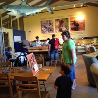 Cape Cod Museum Of Natural History - 6 tips from 411 visitors