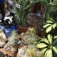 Beetham Nurseries - 4 tips