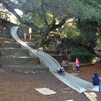 Codornices Park - Berkeley Hills - 18 tips from 1027 visitors