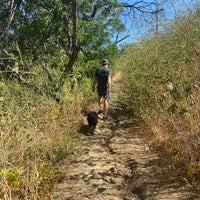 Fryman Canyon - Hiking Trail