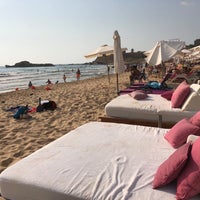 Edde Sands - 37 tips from 1950 visitors