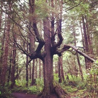 Quileute Indian Reservation - 1 tip