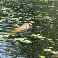 Fitzroy Provincial Park - Fitzroy Harbour - West Carleton - 5 tips from ...