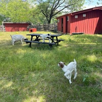 Far Enough Farm - Toronto Island Park