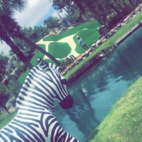 Jungle Lagoon Mini Golf - 404 5th Ave S