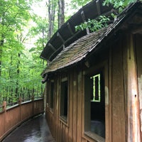 Mount Airy Forest Treehouse - Mount Airy - 68 visitors