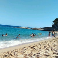 Cala Sa Conca - Beach
