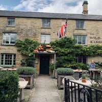 The Wild Rabbit - 10 tips