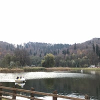 Lacul Noua - 7 tips from 471 visitors