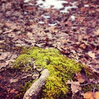 Powder Valley Conservation Nature Center - Kirkwood, MO