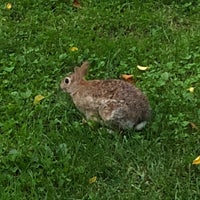 Main Green - College Hill - 75 Waterman St