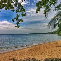 Dauin Marine Reserve and Sanctuary - Nature Preserve