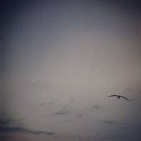 Hull gut - Scenic Lookout