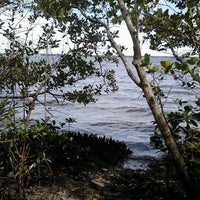 Philippe Park - 26 tips from 1528 visitors