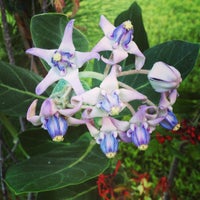 Griffing Park / Community Center - North Miami, FL