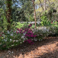 Dickson Azalea Park - Lawsona- Fern Creek - 100 Rosearden Drive