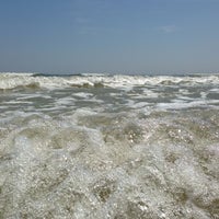 Little Talbot Island Beach - Beach in Northside