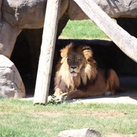 National Zoo & Aquarium - Zoo