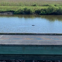 Rockefeller Wildlife Refuge - Nature Preserve