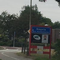 Nagele - 1 tip