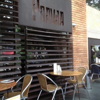 Pravda - Bar in Zona T