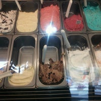 Java Cat - Madison, WI