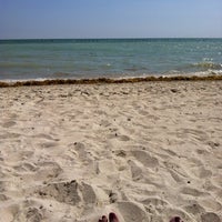 Higgs Memorial Beach - Beach