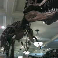 Tyrannosaurus Rex - Upper West Side - 200 Central Park W