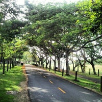 Paseo Lineal (Rio Bayamon) - Other Great Outdoors in Bayamon