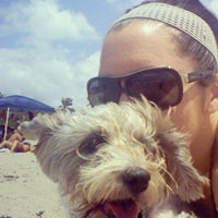 Juno Beach Dog Park - Dog Run in The Bluffs