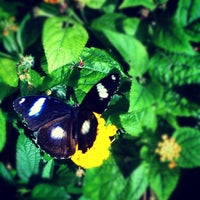 Butterfly Garden at the Museum of Science, Boston - East Cambridge - 5 tips