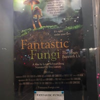 Christopher B. Smith Rafael Film Center - Downtown San Rafael - 13 tips ...