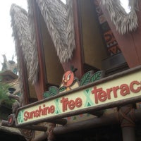 Sunshine Tree Terrace - Walt Disney World Resort - Lake Buena Vista, FL