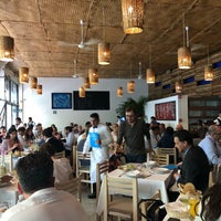 Contramar - Roma Norte - Durango 200