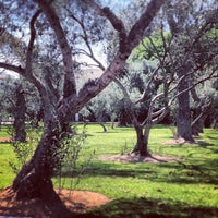 Bosque El Olivar - Park in San Isidro