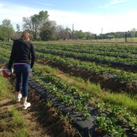 Photos at Efurd's Peach Orchard - 3 tips from 90 visitors