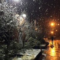 Bloomfield - Bloomfield - Pittsburgh, PA