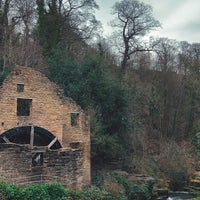 Jesmond Dene Nature Area - Jesmond