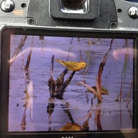 Volo Bog State Natural Area - Nature Preserve in Ingleside