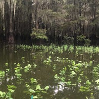 Henderson Swamp - Lake in Henderson