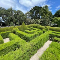 Ashcombe Maze & Lavender Gardens - Garden
